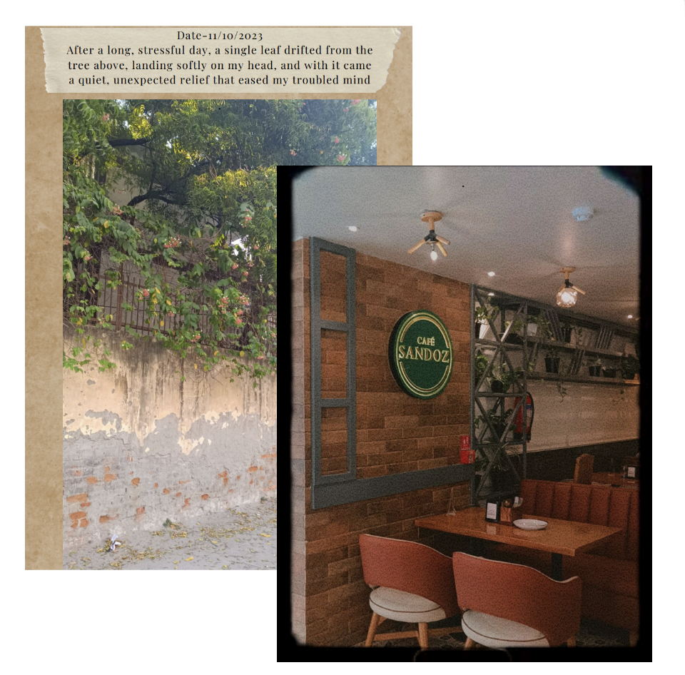 Competitions – Rethink Magazine